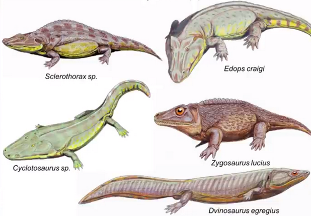 Это интересно